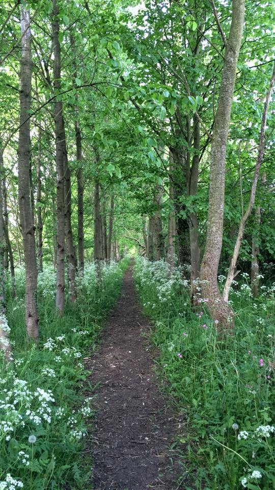 Shotteswell Footpaths | Shotteswell Village, Warwickshire